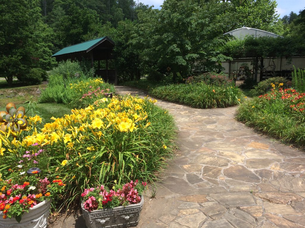 The Lily Barn Farm | The Lily Barn